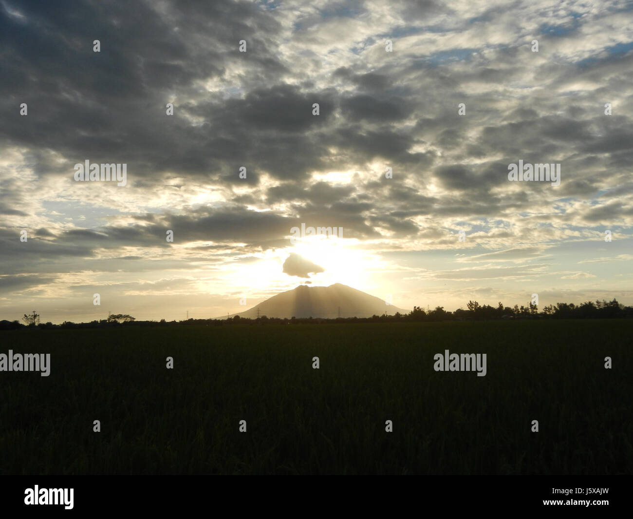 This scenic image captures the majestic Mount Arayat in Nueva Ecija ...