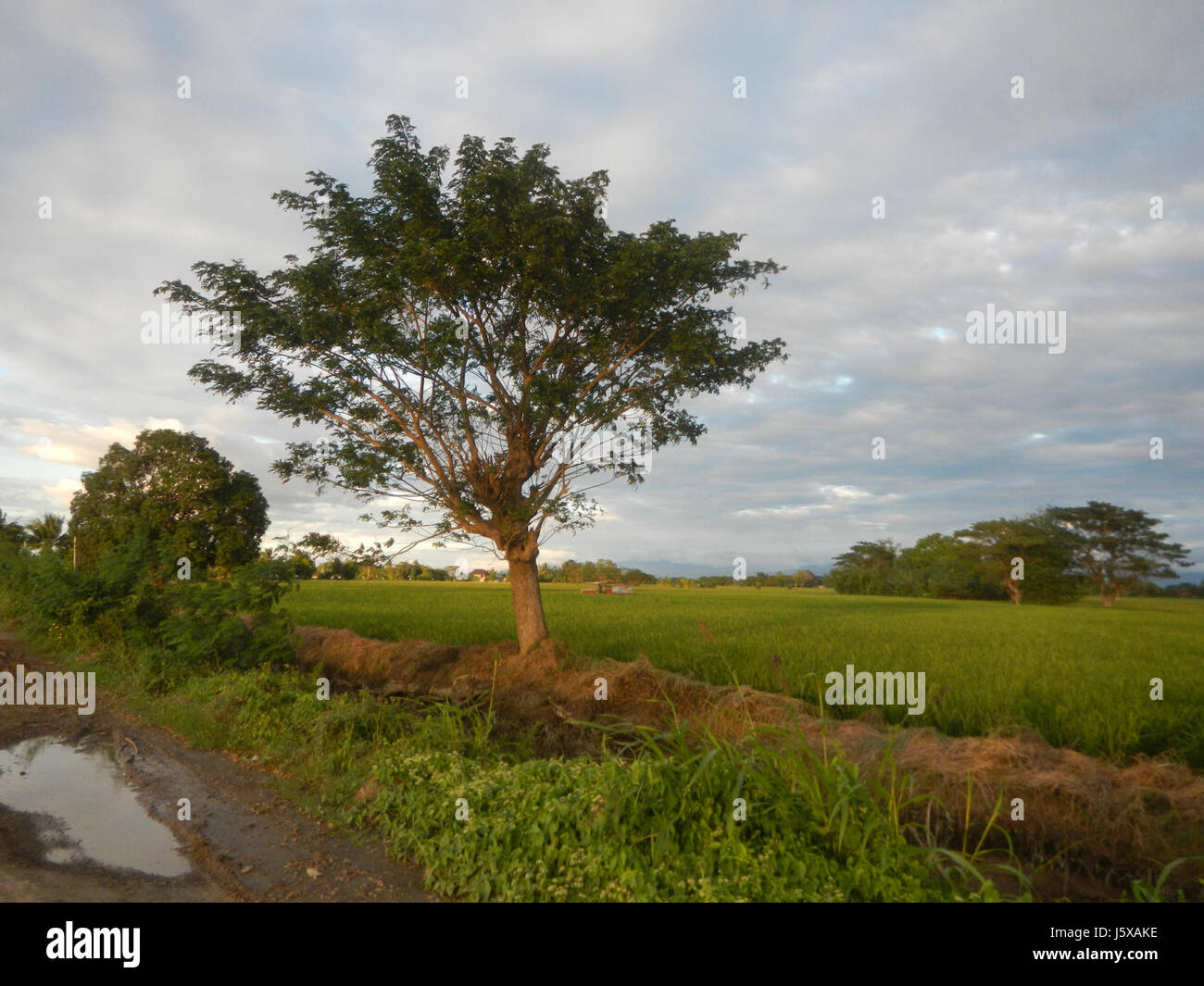 The photograph captures Mount Arayat in Nueva Ecija, Philippines, with ...