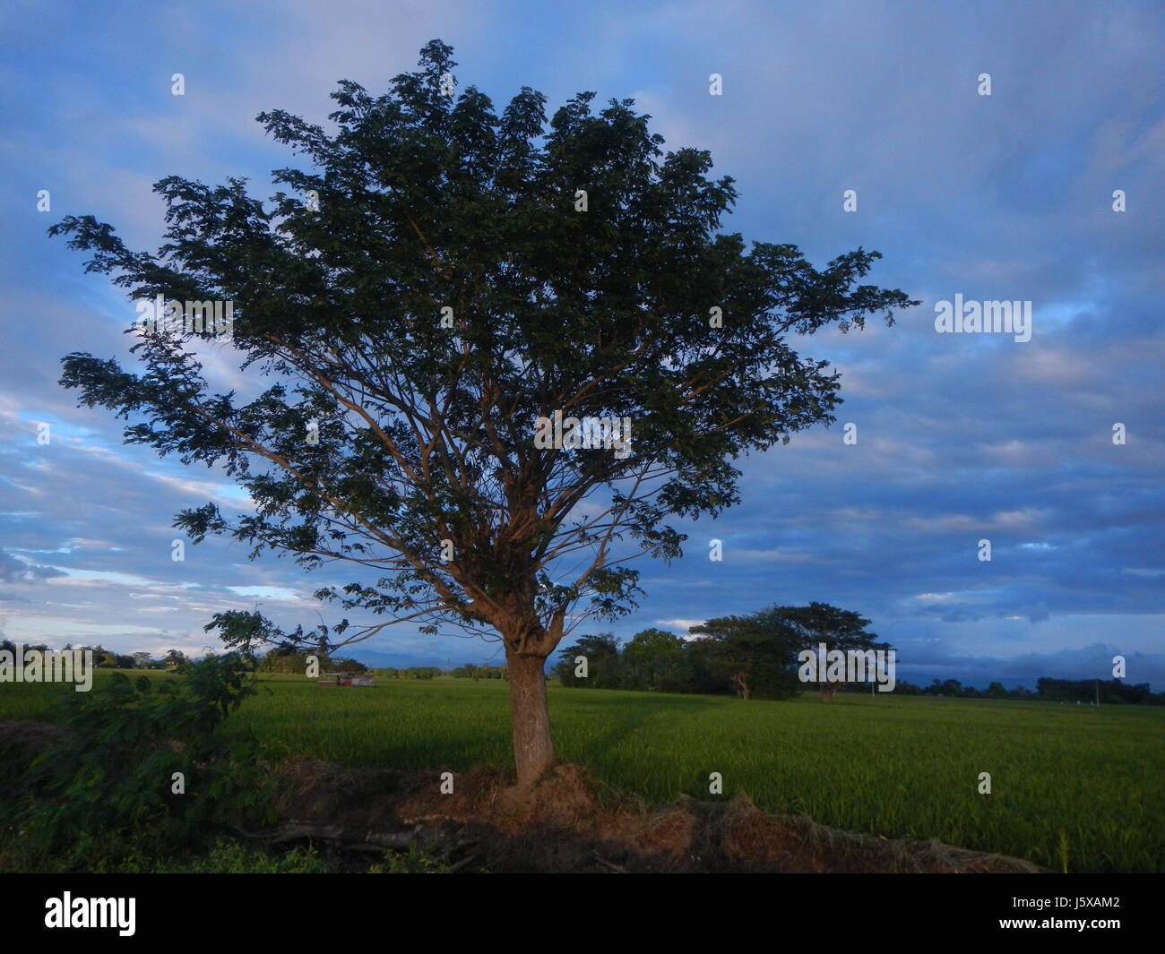 04068 Mystic clouds glorious rays sunset Majestic Mount Arayat Pulo ...