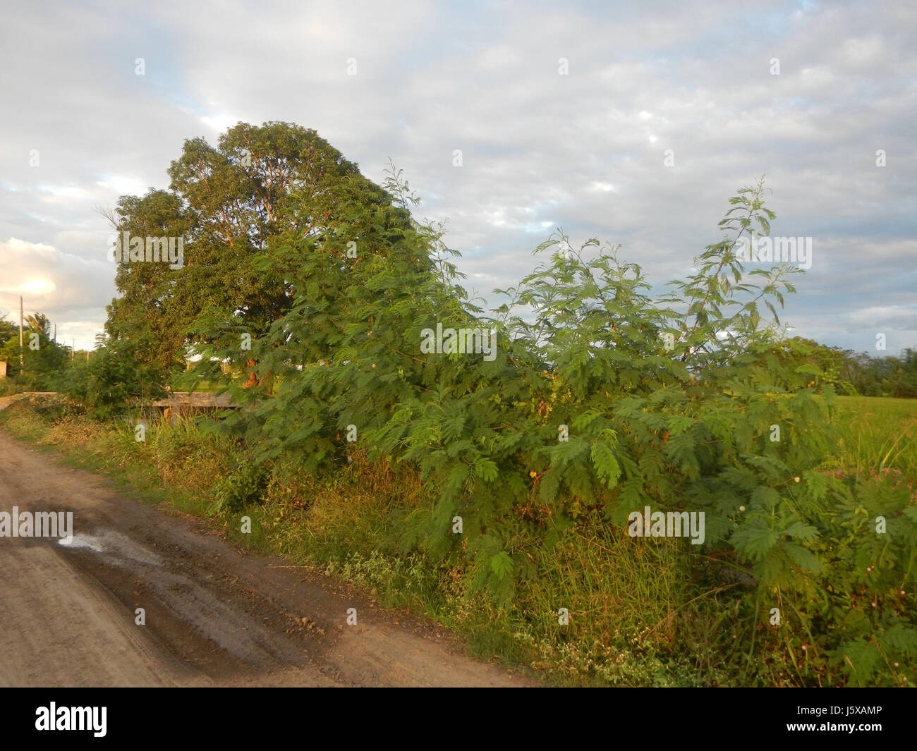 This breathtaking scene captures the glorious rays of the sunset ...