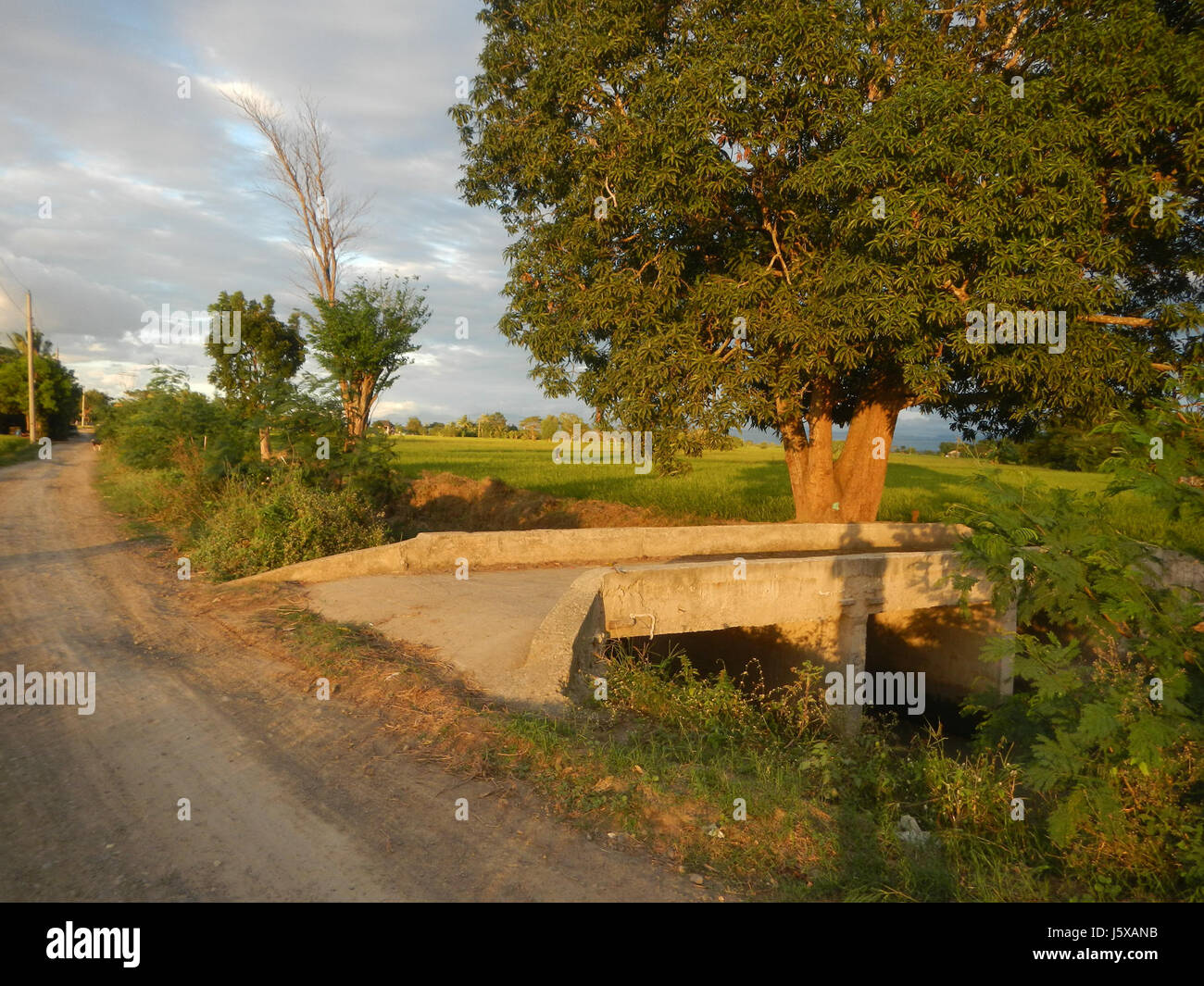 The photograph shows a stunning sunset view of Mount Arayat in San ...