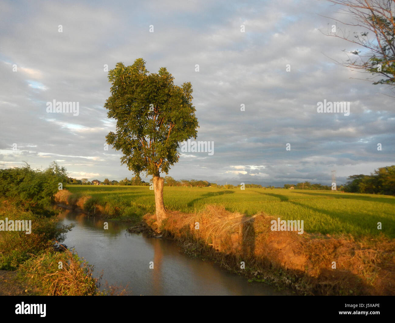 This image captures the breathtaking view of Mount Arayat in San Isidro ...