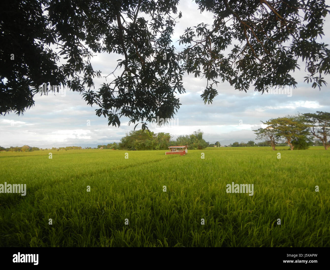 This image captures the majestic Mount Arayat in San Isidro, Nueva ...