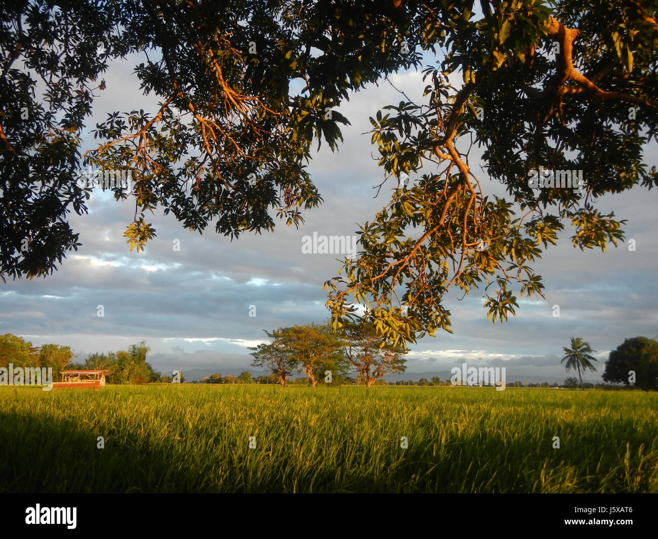 This image captures a breathtaking view of Mount Arayat in San Isidro ...