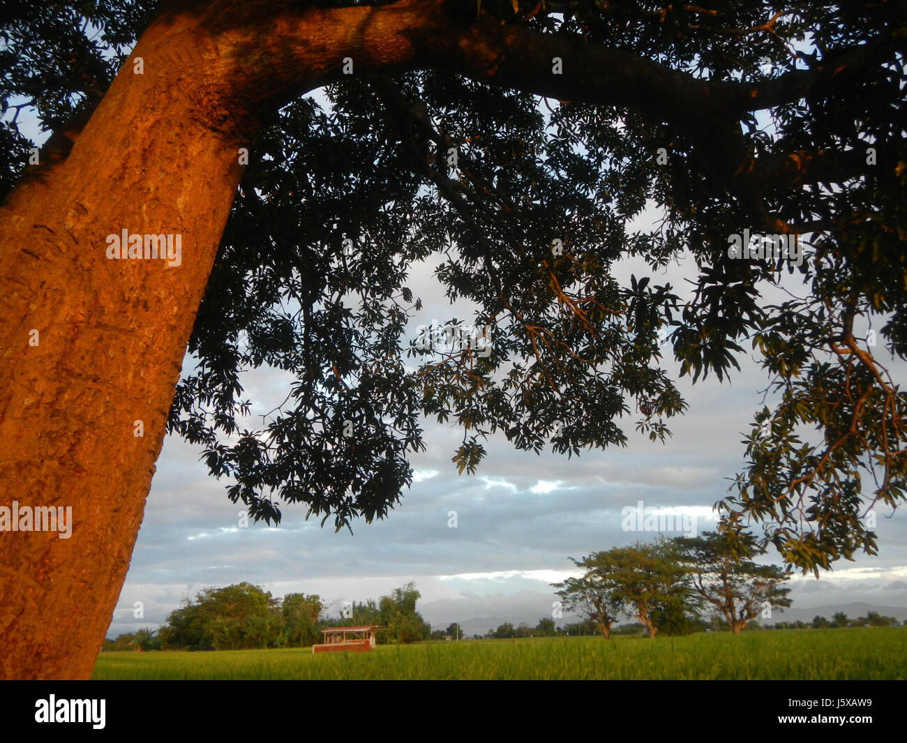 04223 Mystic clouds glorious rays sunset Majestic Mount Arayat Pulo ...