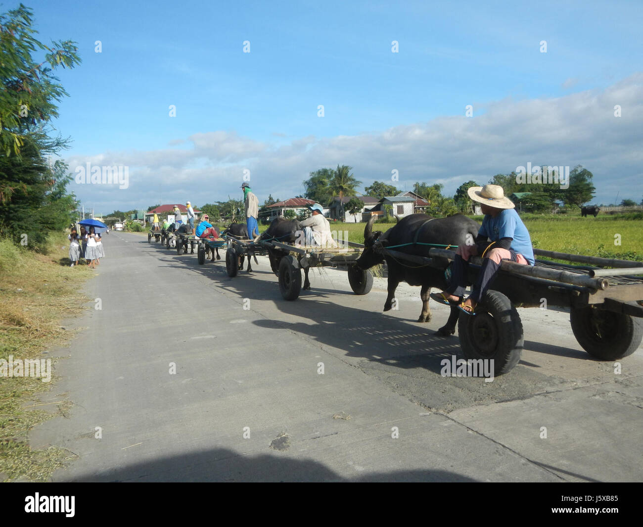 The image shows a caravan of carabao-drawn wooden carts on the roads of ...