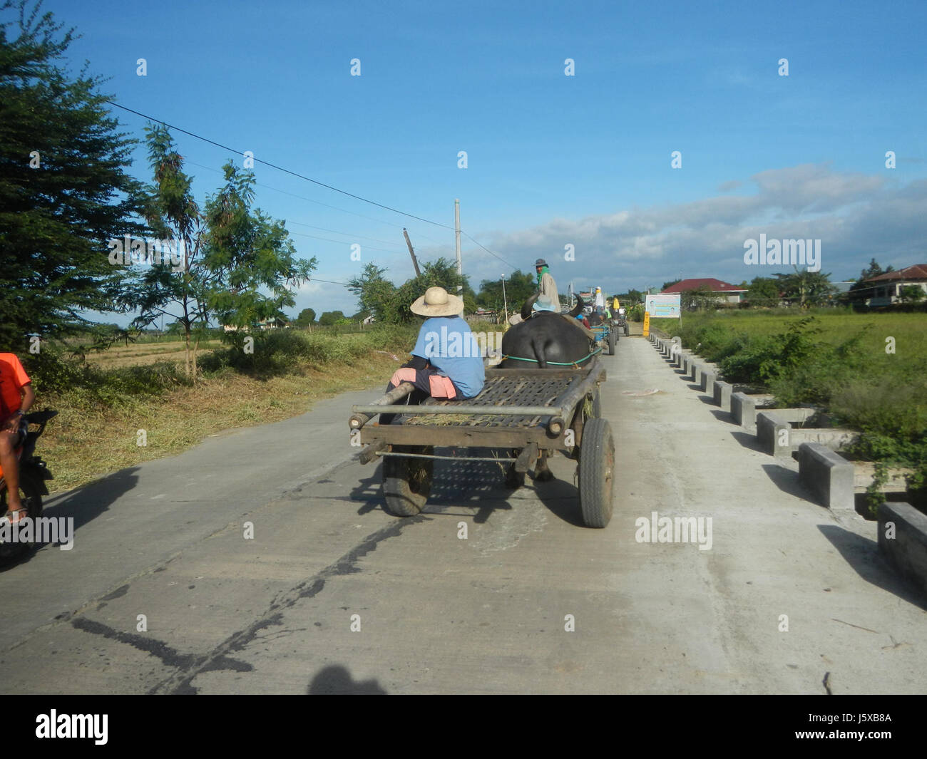 This image depicts carabao-drawn wooden carts on the roads of Magumbali ...