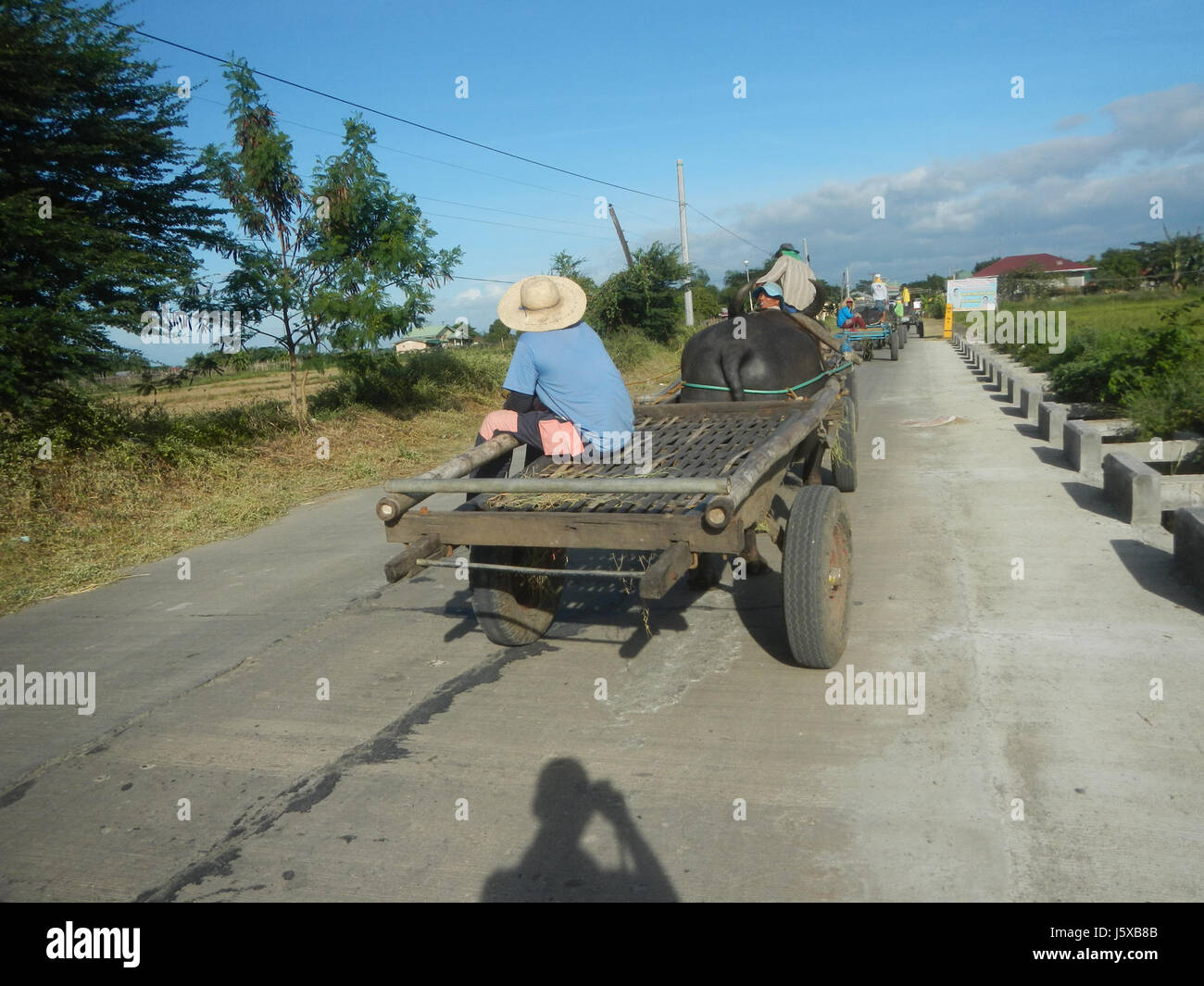 04542 Carabao drawn wooden carts caravan Magumbali, Candaba, Pampanga ...