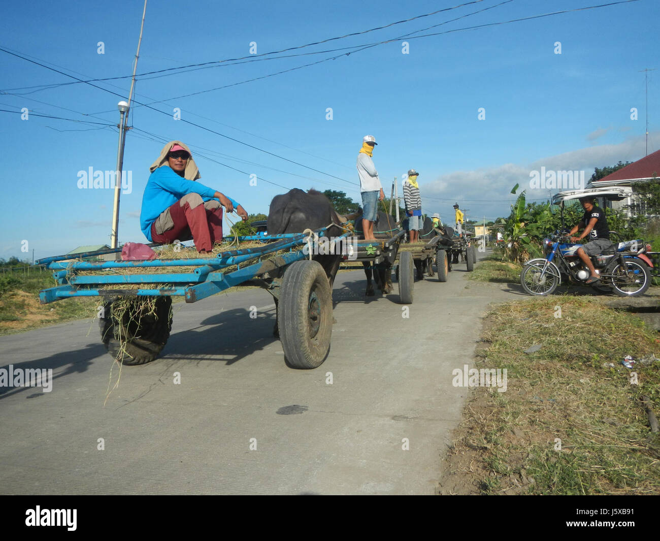 04577 Carabao drawn wooden carts caravan Magumbali, Candaba, Pampanga ...