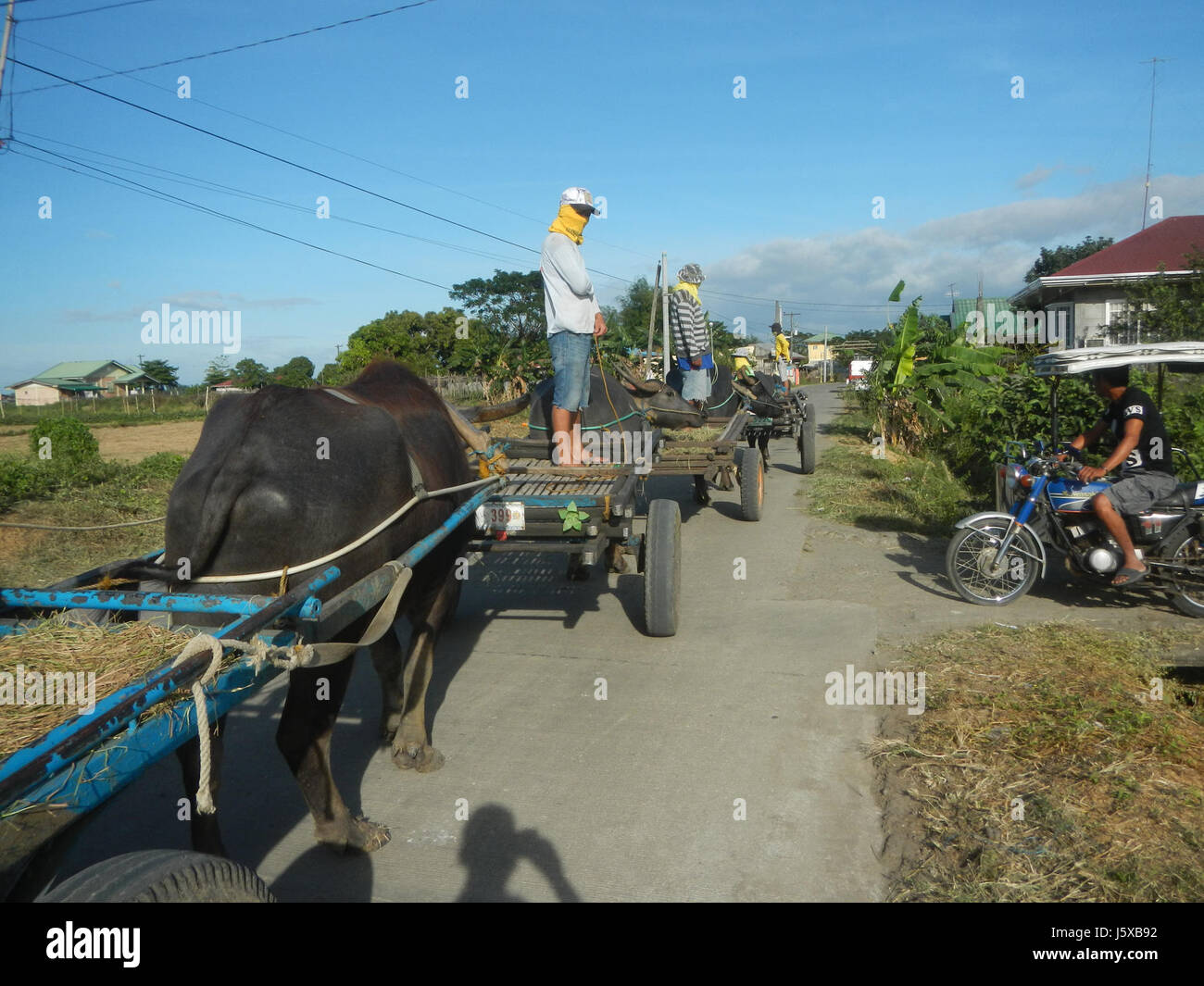 04577 Carabao drawn wooden carts caravan Magumbali, Candaba, Pampanga ...
