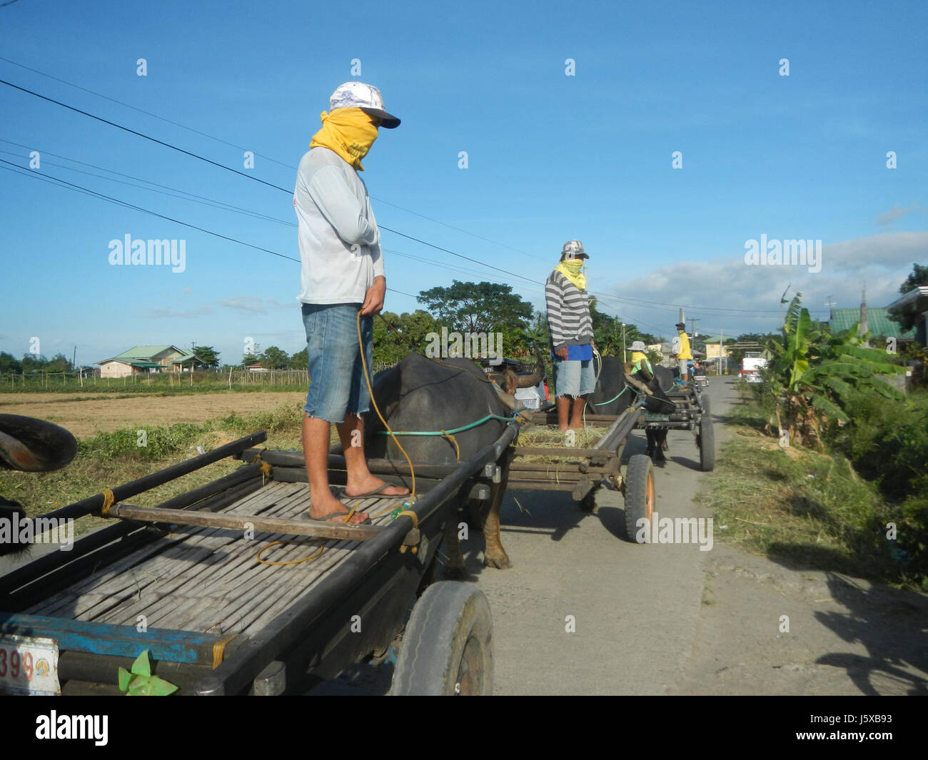 A historical photograph showcasing a caravan of wooden carts drawn by ...