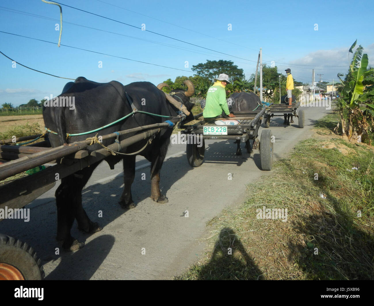 04577 Carabao drawn wooden carts caravan Magumbali, Candaba, Pampanga ...