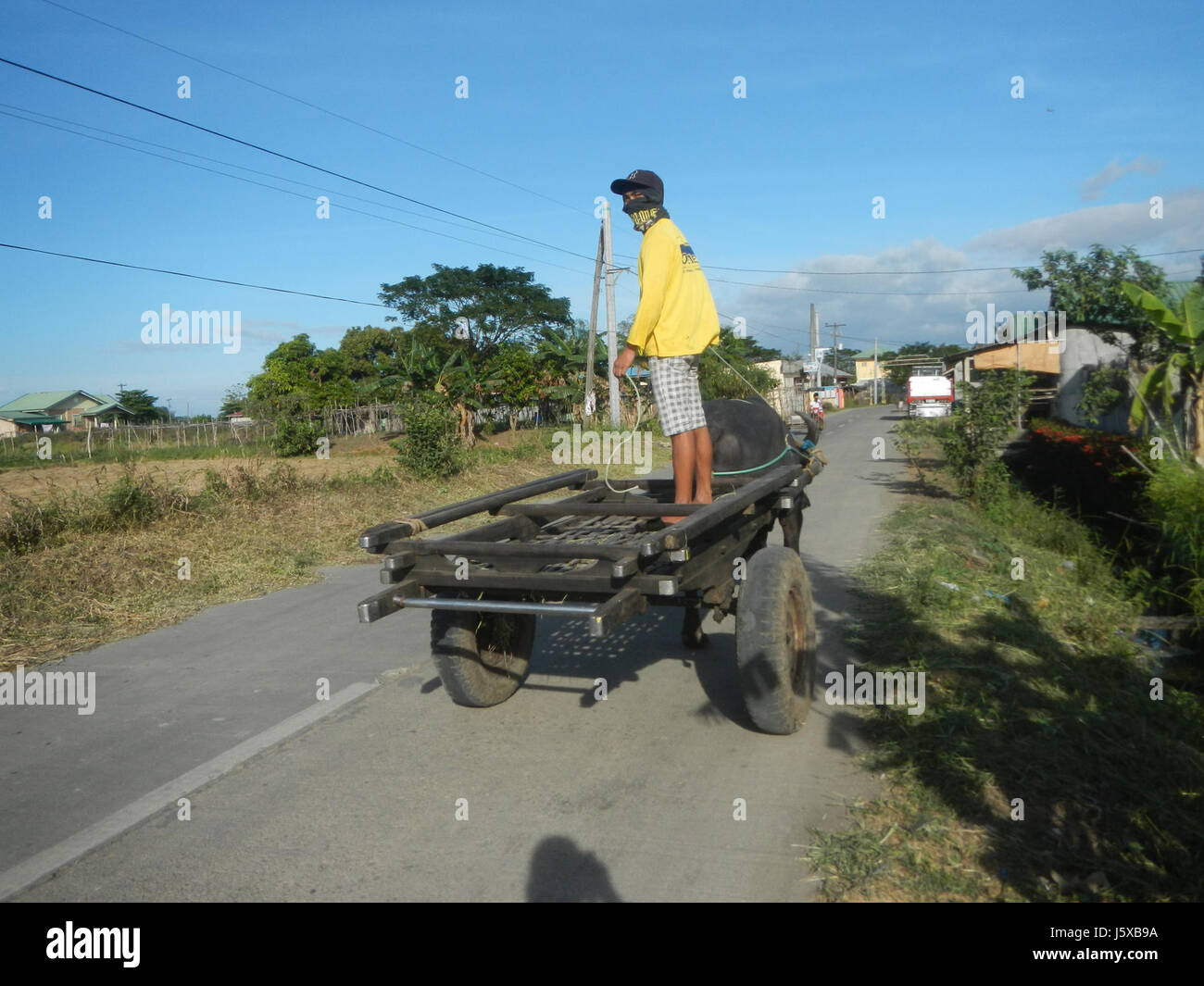 An image showing a caravan of carabao-drawn wooden carts along the ...