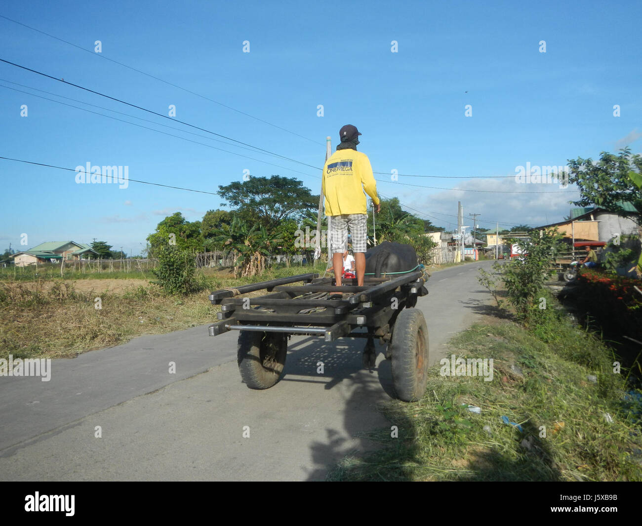 Carabao-drawn wooden carts are a traditional form of transportation in ...