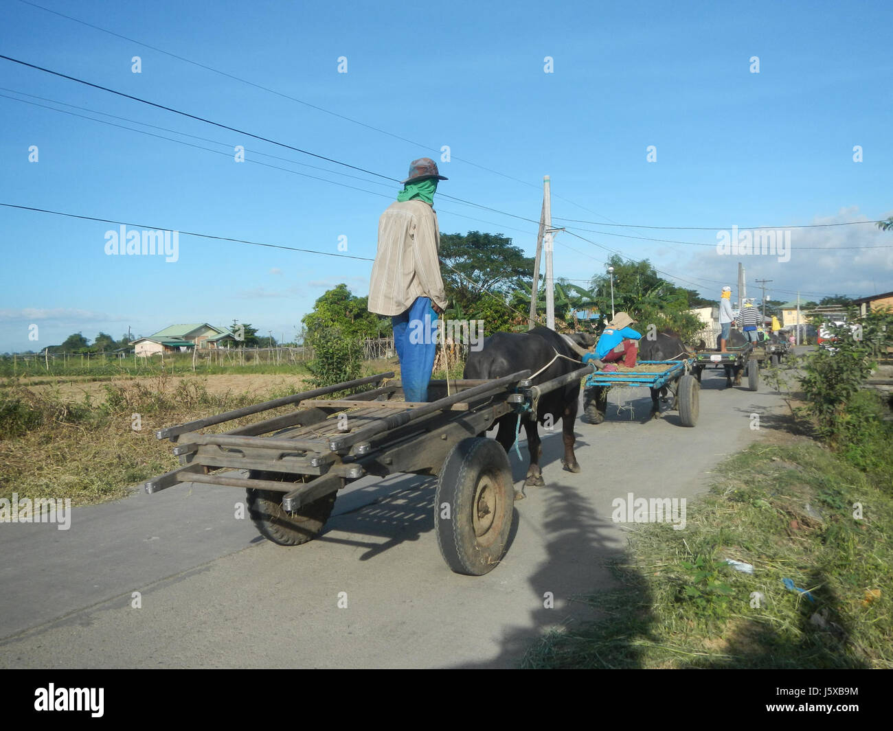 04577 Carabao drawn wooden carts caravan Magumbali, Candaba, Pampanga ...