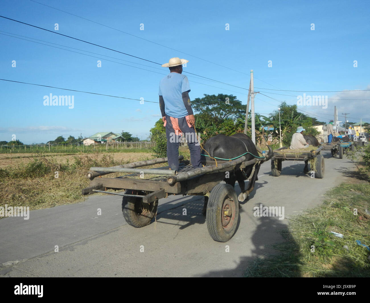 04577 Carabao drawn wooden carts caravan Magumbali, Candaba, Pampanga ...
