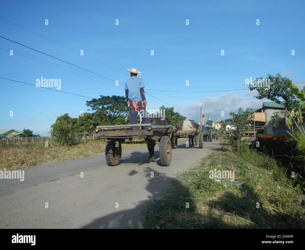 04577 Carabao drawn wooden carts caravan Magumbali, Candaba, Pampanga ...