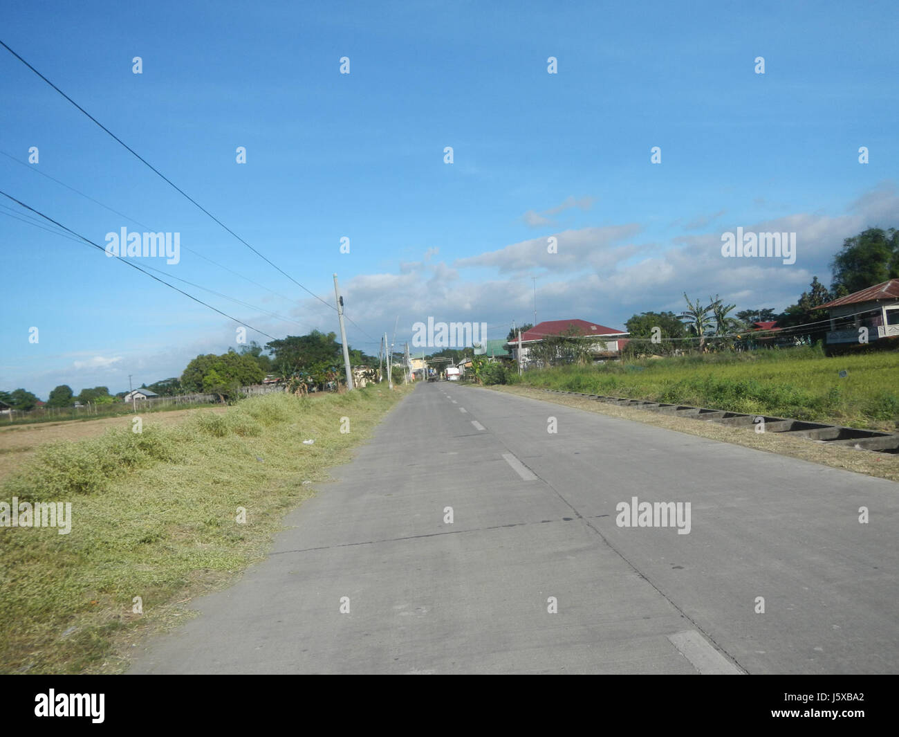 The image depicts a caravan of carabao-drawn wooden carts traveling the ...