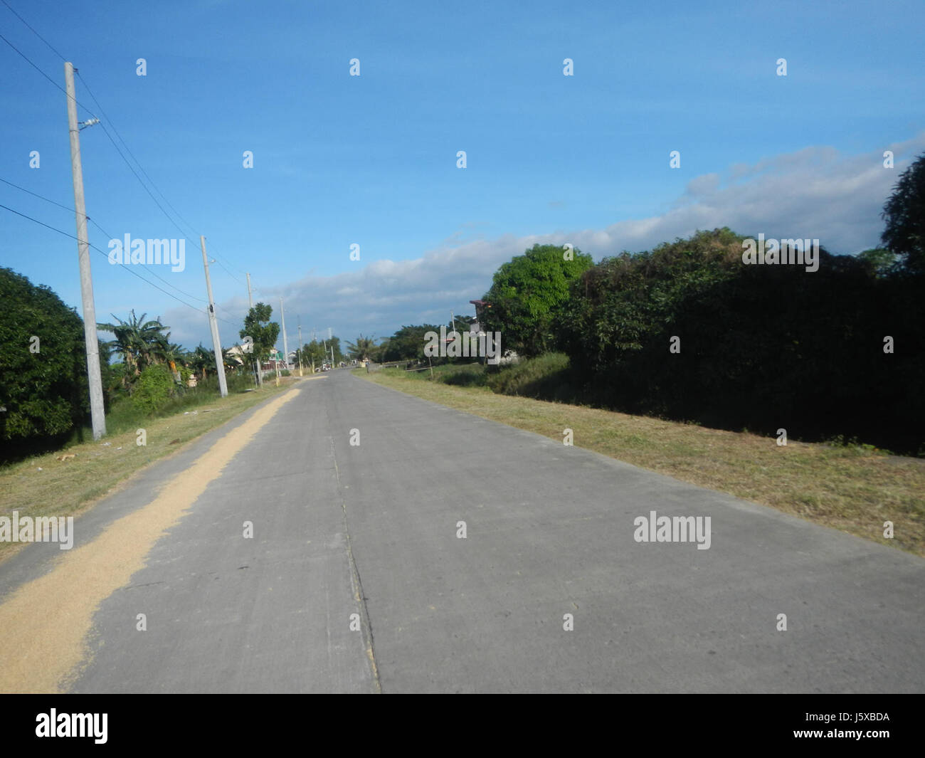 This image depicts the paddy fields in Salapungan, Magumbali, Candaba ...