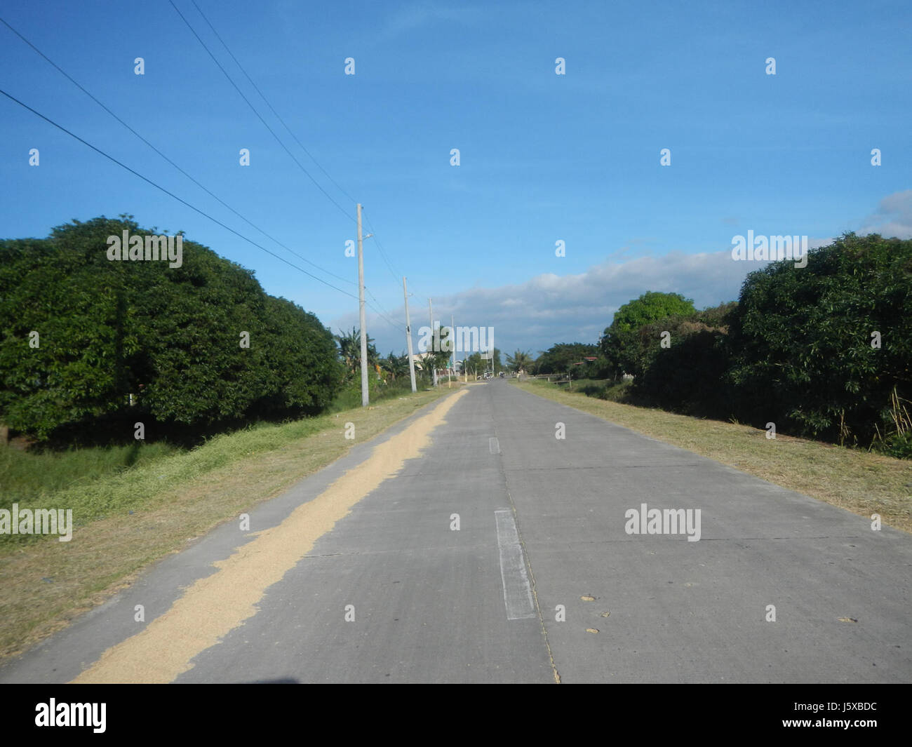 The paddy fields of Salapungan, Magumbali, and Candaba, Pampanga are ...