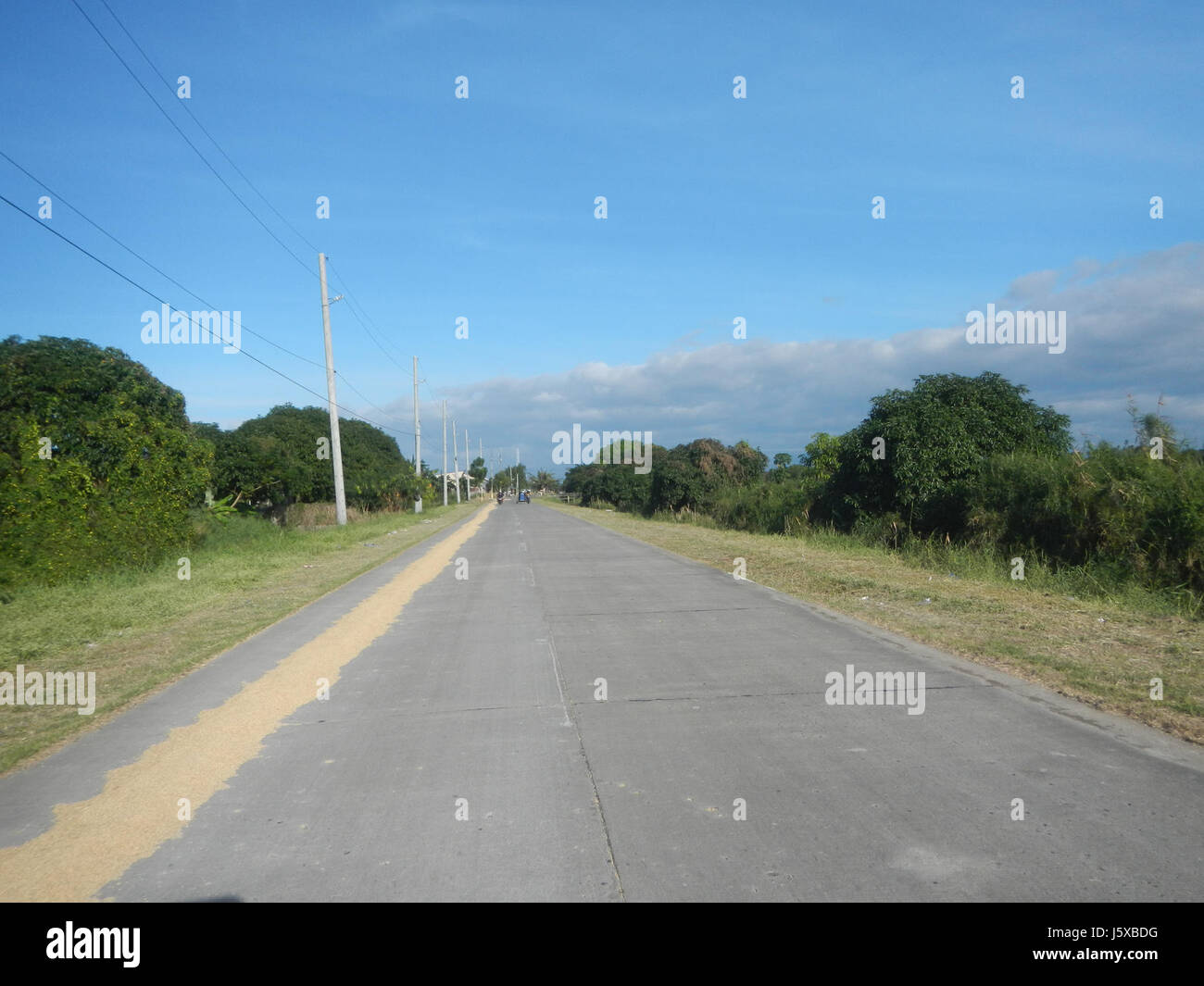 This image shows the paddy fields along Salapungan Roads in Magumbali ...