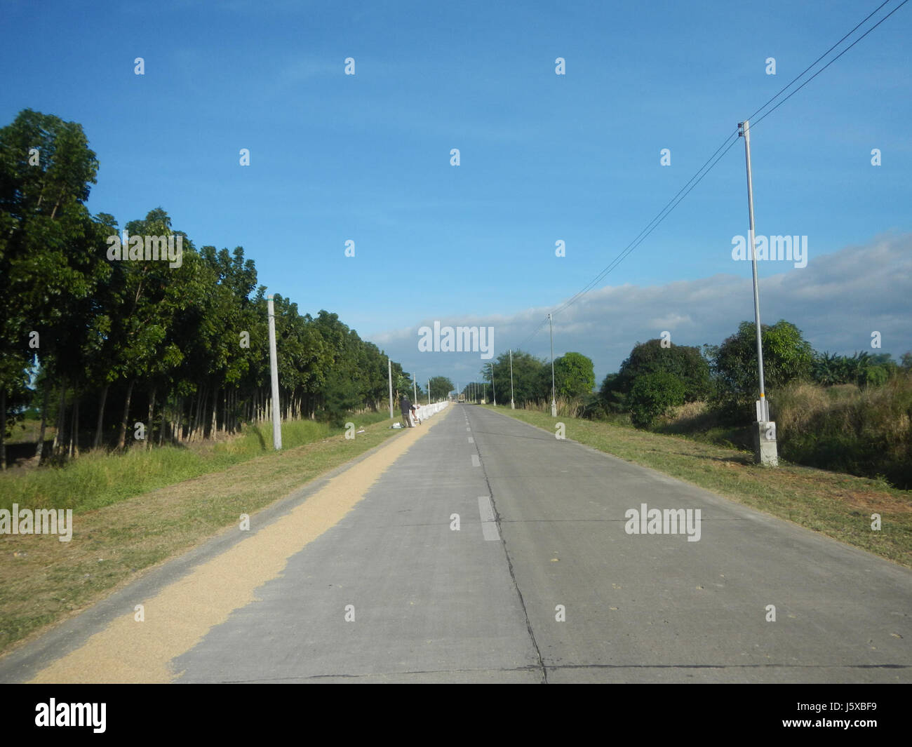 This image depicts the expansive paddy fields along Salapungan Roads in ...