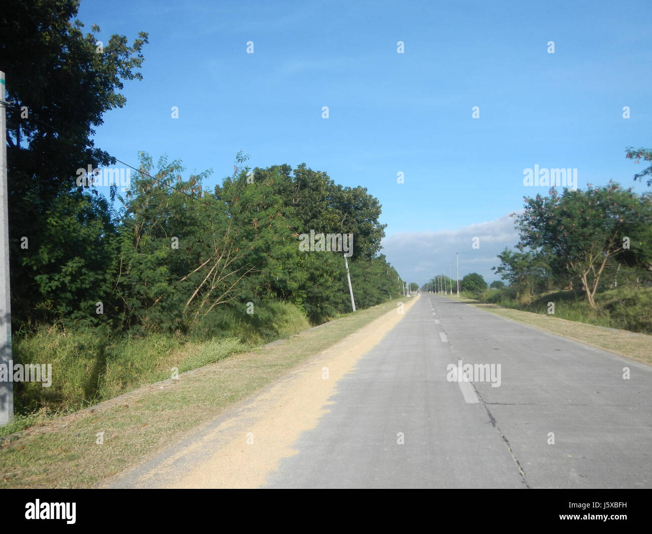 Paddy fields in Salapungan, Magumbali, and Candaba in Pampanga ...