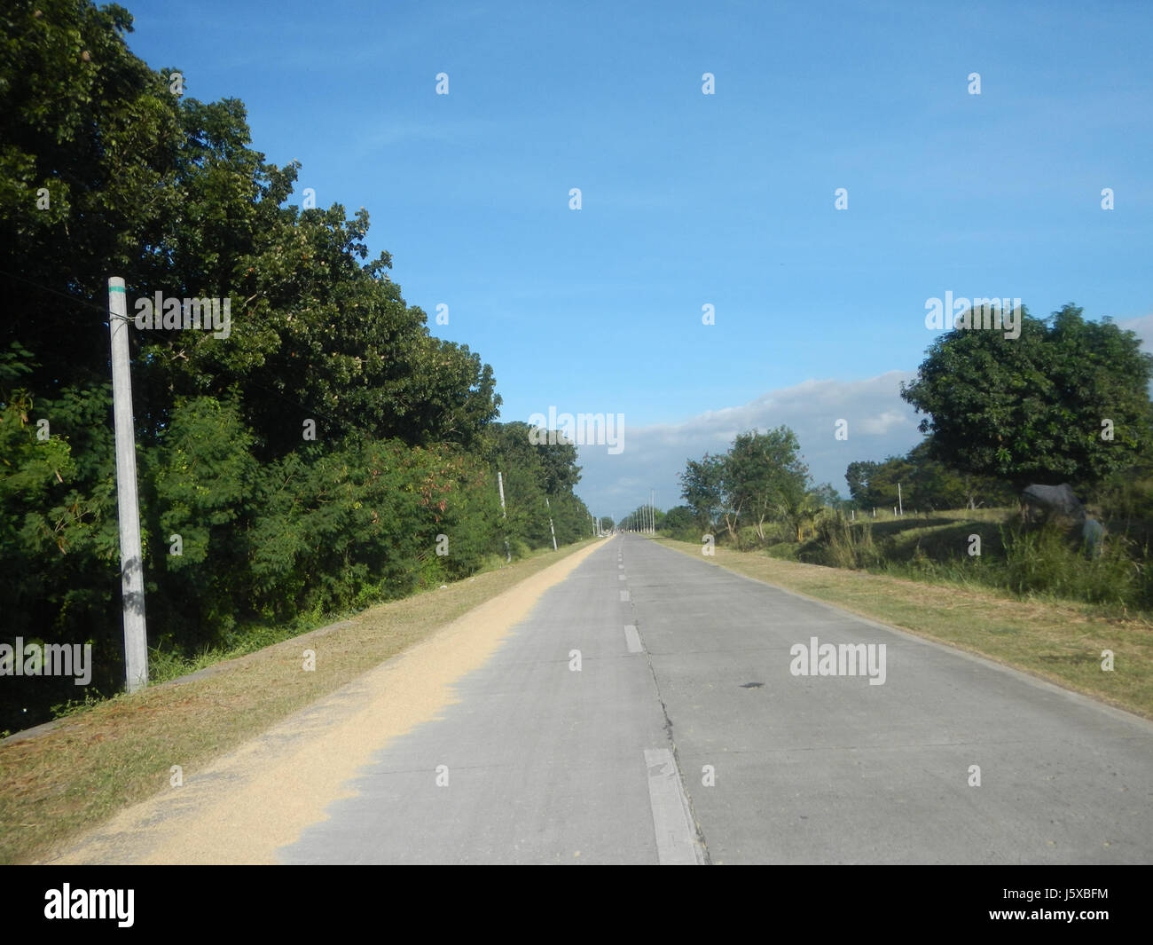 The paddy fields of Salapungan, Magumbali, and Candaba in Pampanga ...