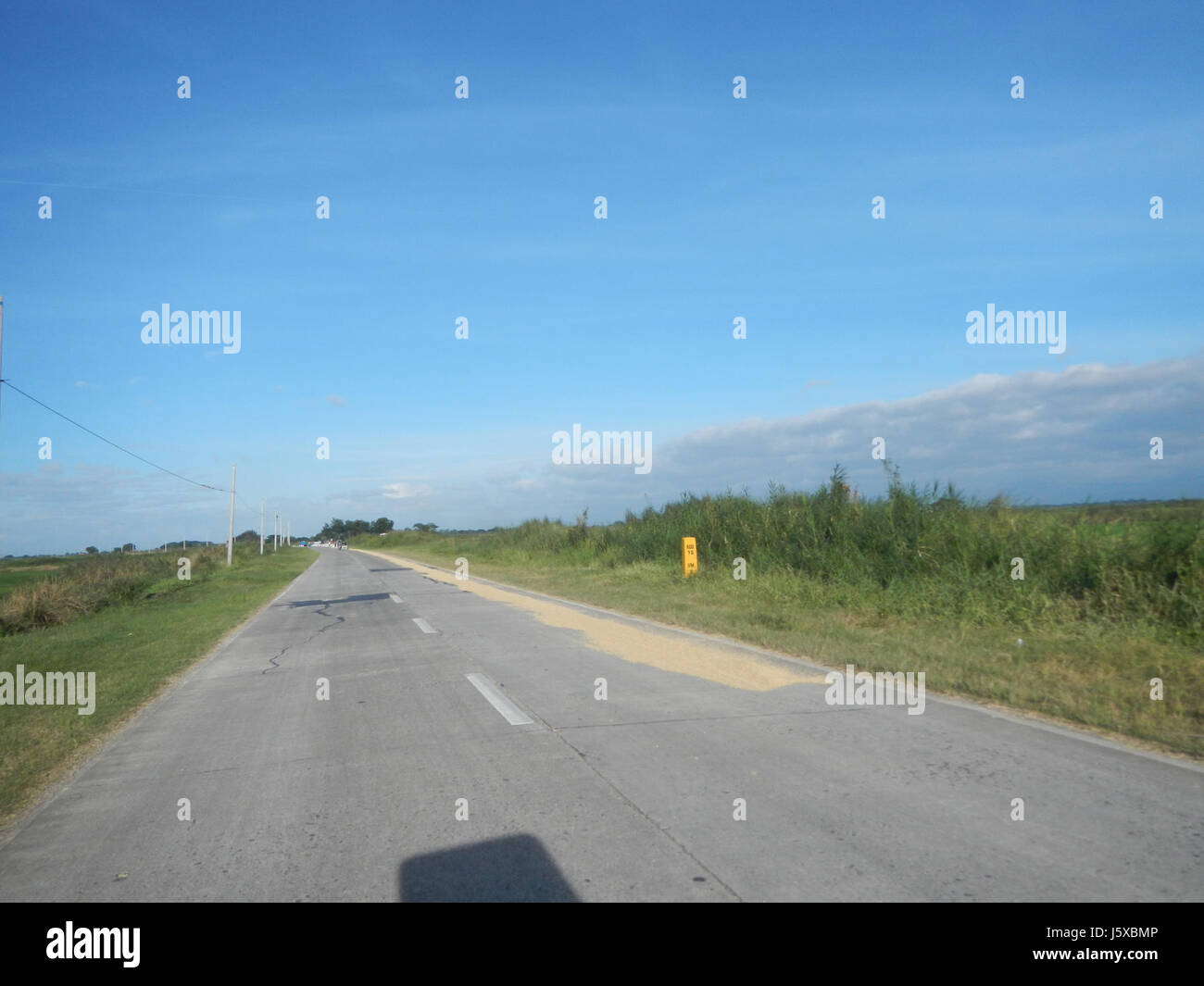 This image showcases the paddy fields in Salapungan and surrounding ...