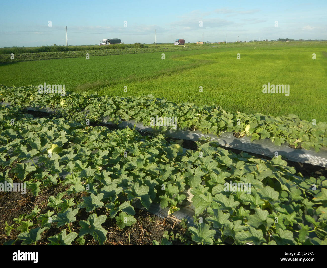 This reference seems to describe specific geographic locations in ...