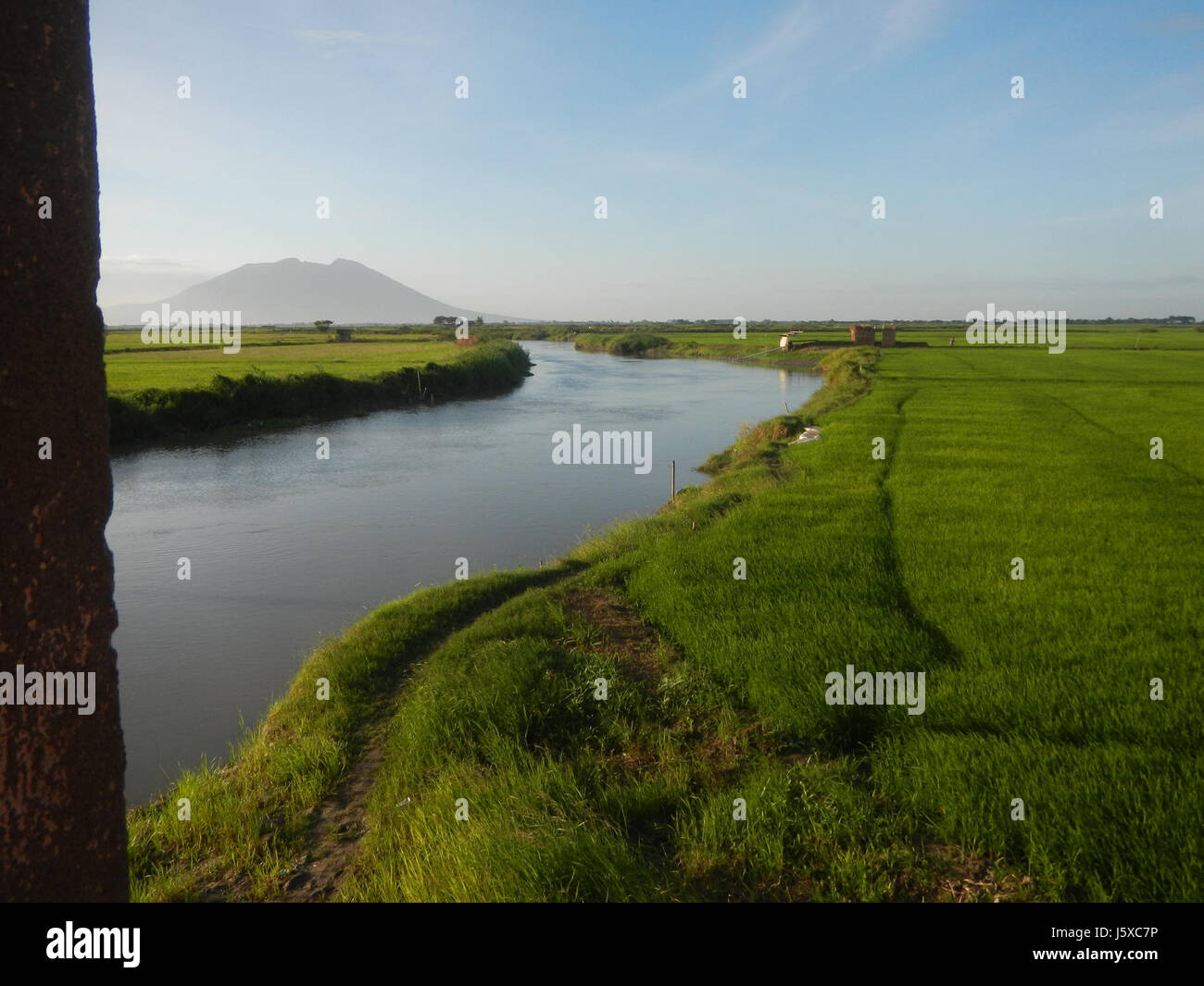 Magumbali Fields in Paralaya, Candaba, Pampanga, represent a rural ...