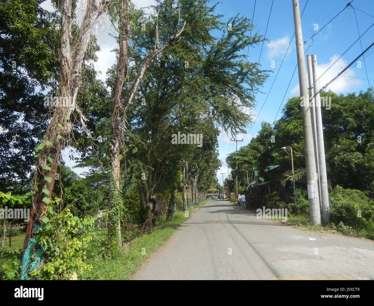 This image shows the Sipat-Dampol Farm-to-Market Road in Plaridel ...