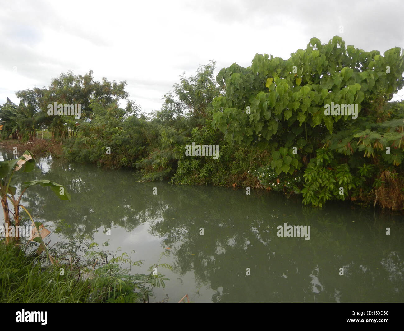 Aerial view of the paddy fields in Lumang Bayan Agnaya, Sipat Banga ...