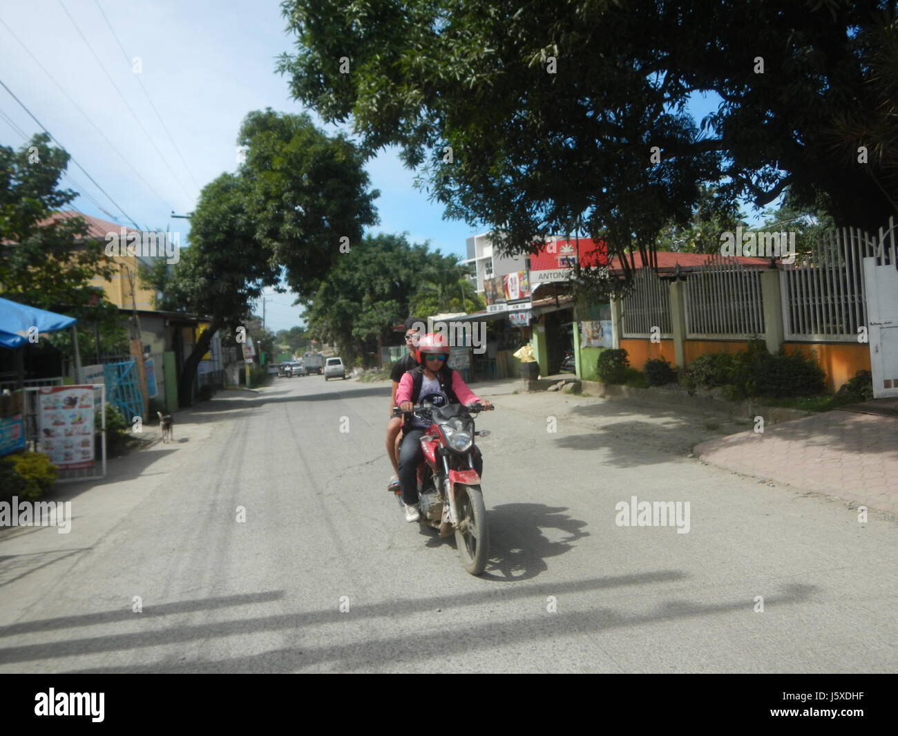 A photograph documenting the construction of a farm market road in ...