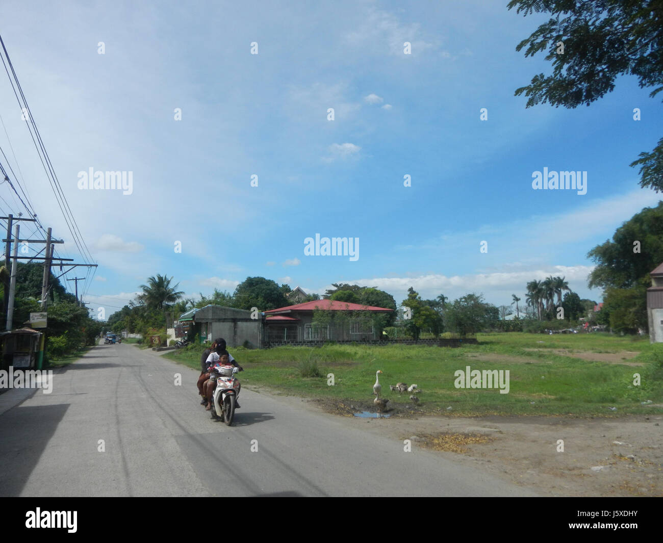 This reference describes the construction of a farm market road in ...