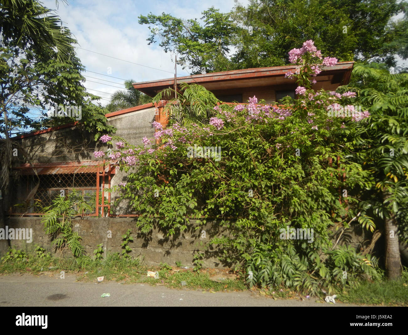 Halili hi-res stock photography and images - Alamy