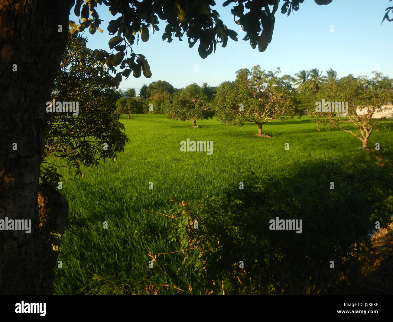 This photograph depicts the rural landscape of Sabang in Baliuag ...