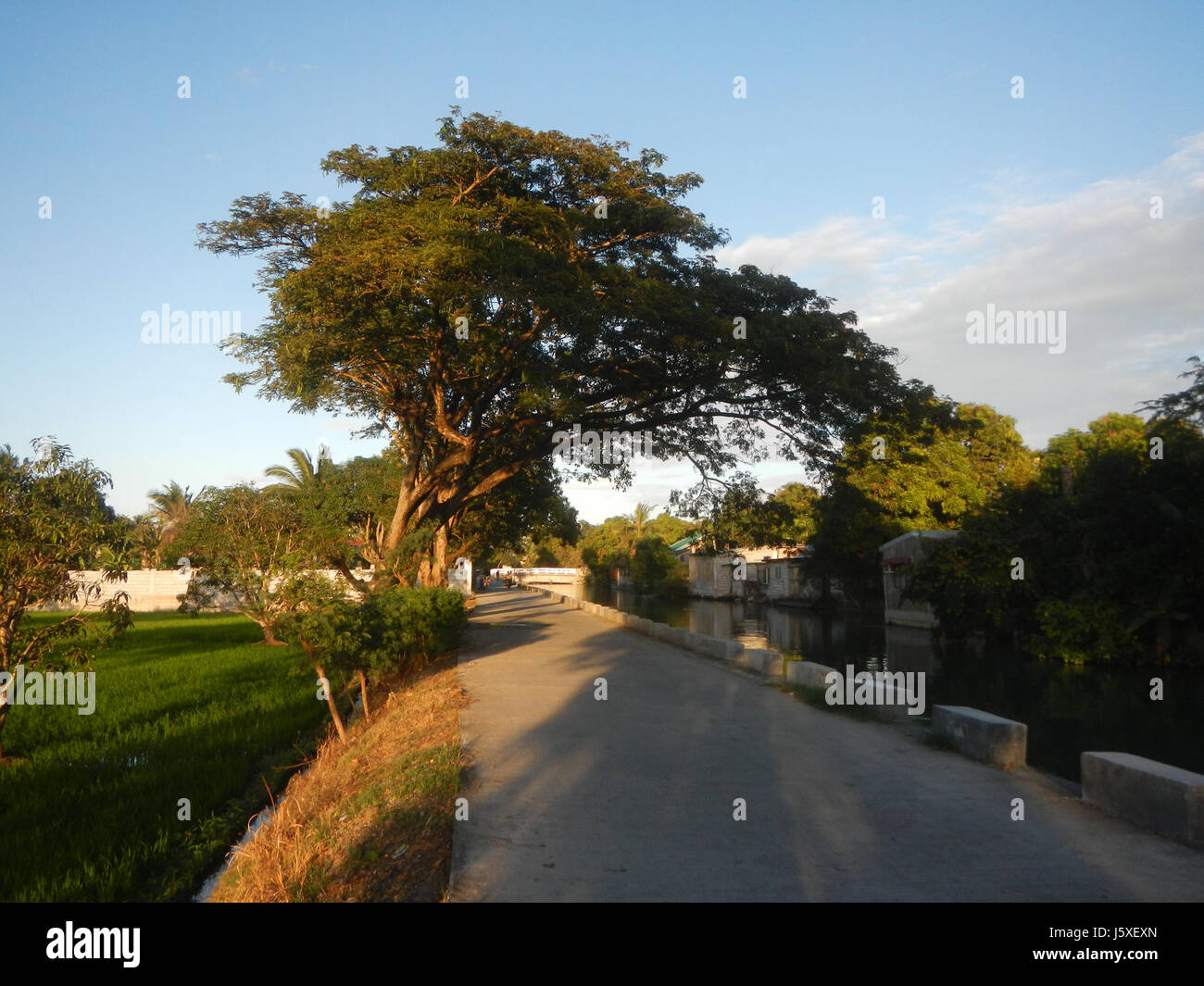This scene showcases the rural landscape of Sabang, Baliuag, Bulacan ...