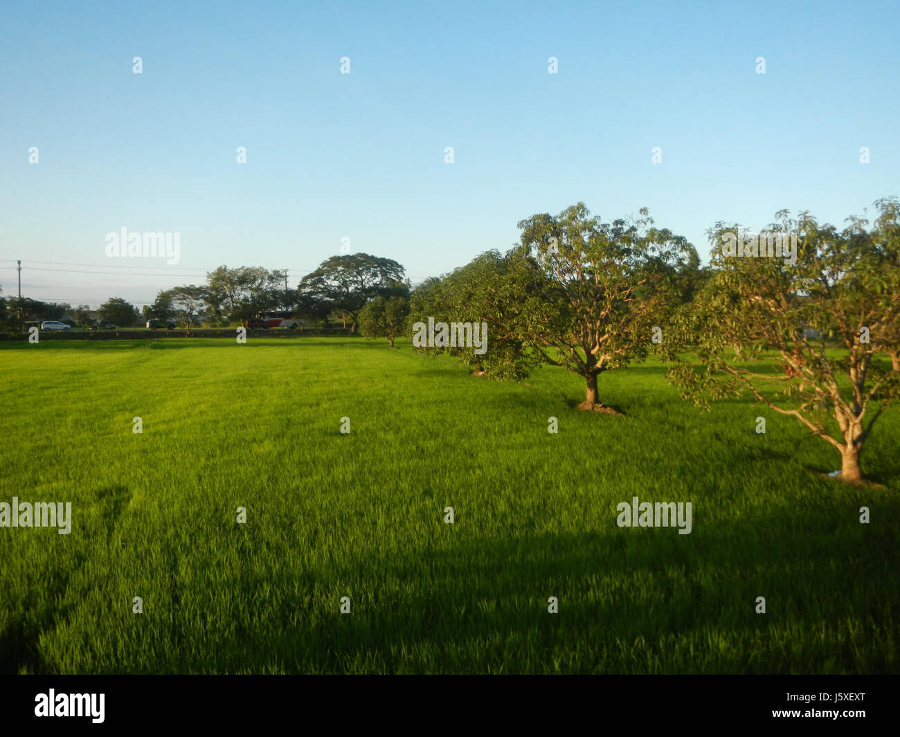 This image captures the agricultural and rural landscape of Sabang ...