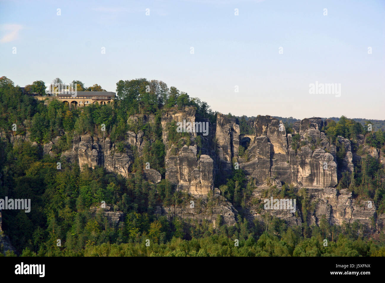 bridge rock bastion tree trees plant bridge conservation of nature rock ...