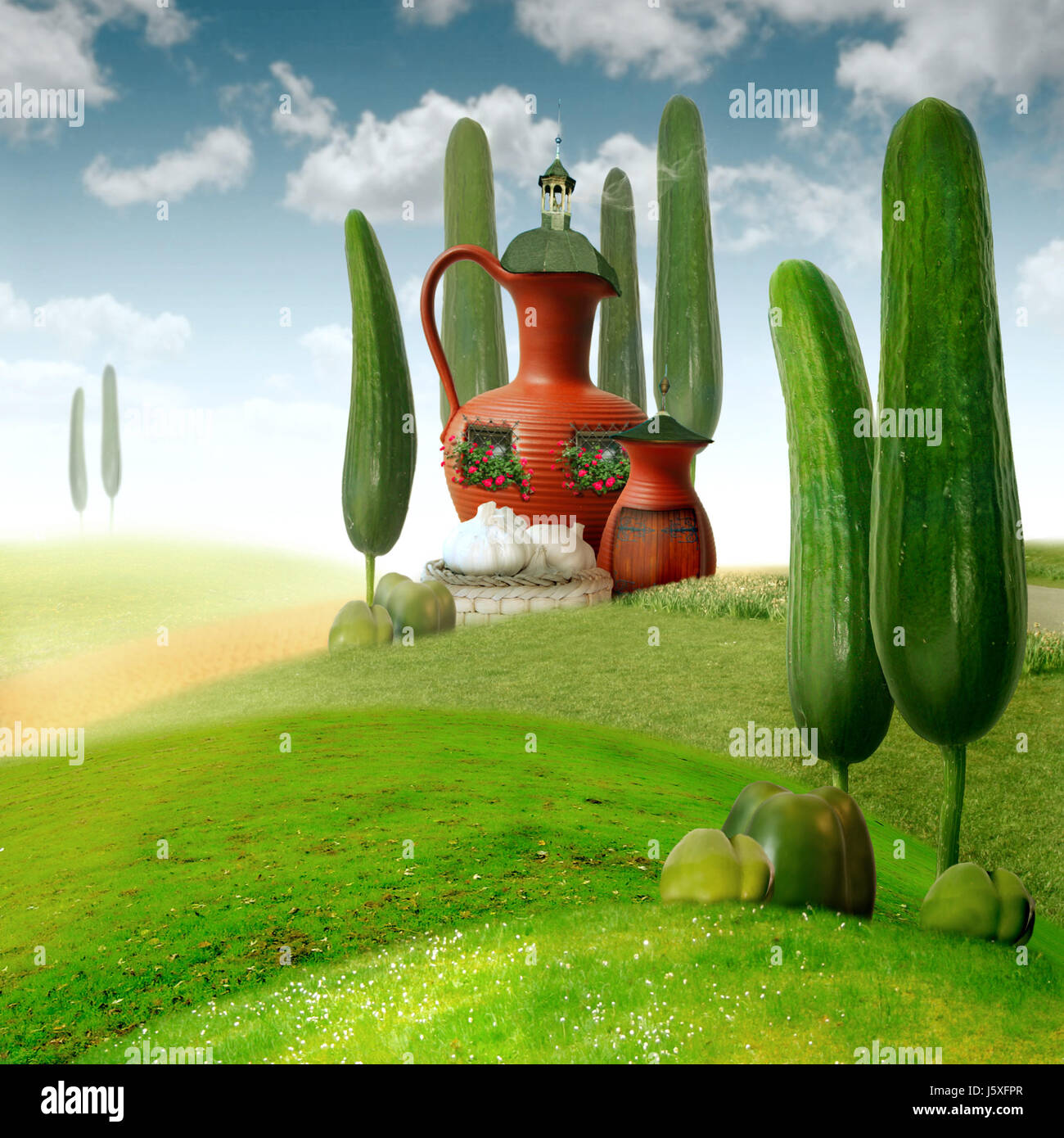 cucumber vegetable vine grape vine grape-vine scenery countryside ...