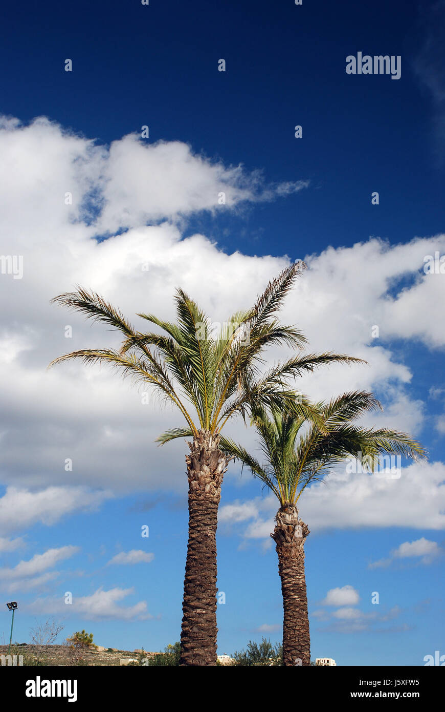 cloud water mediterranean salt water sea ocean palms malta semitropical ...