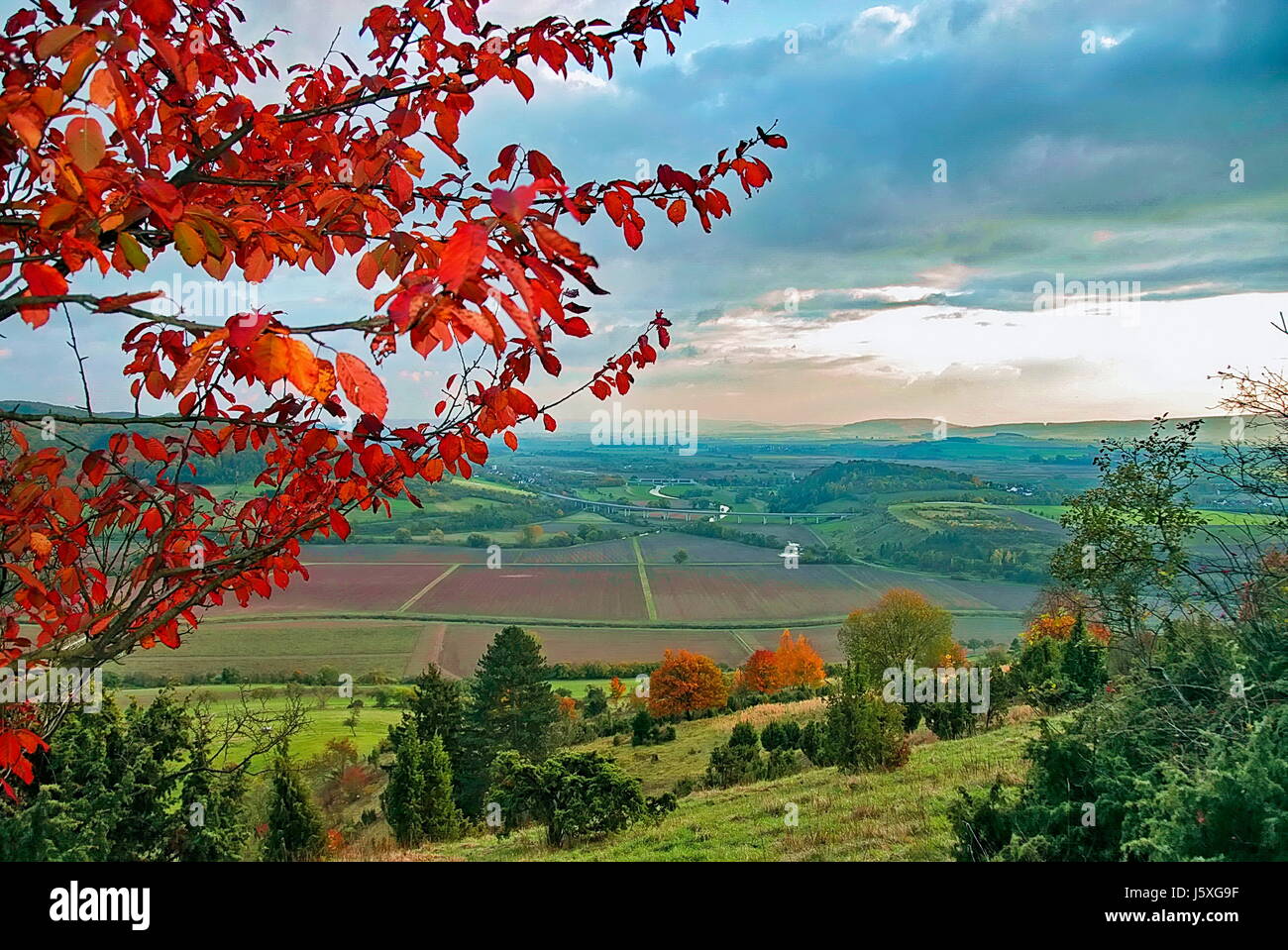 tree trees bridge distance fields valley scenery countryside nature ...
