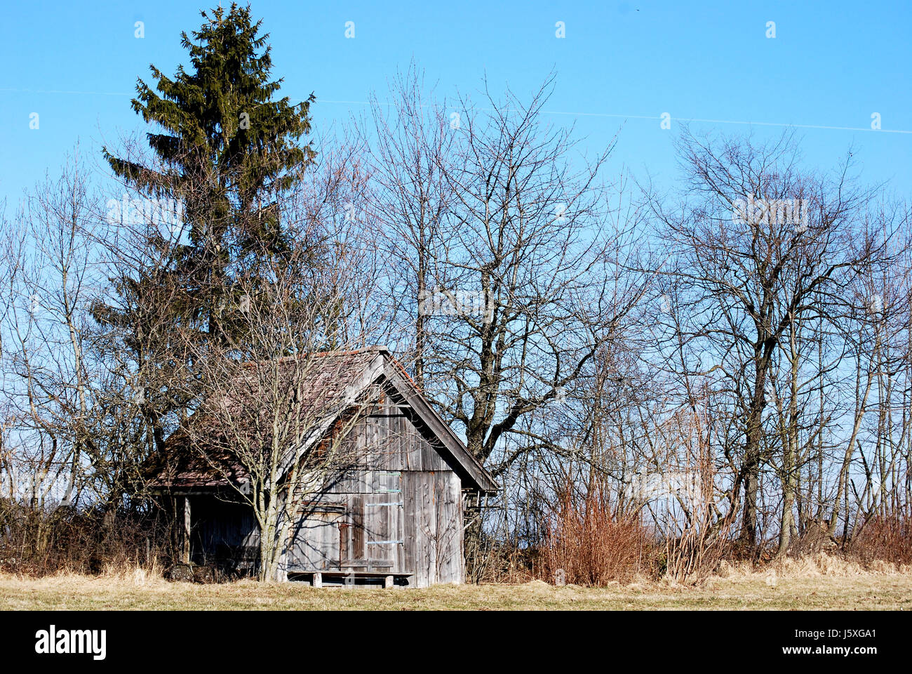 house building barn stable tuft stall house building tree trees wood ...
