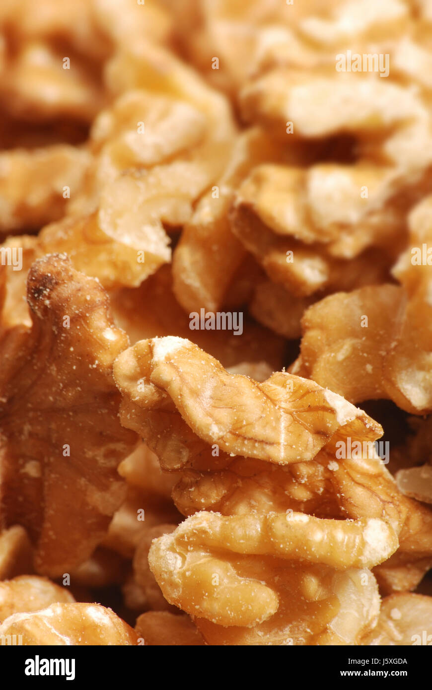 macro close-up macro admission close up view nuts nut pared walnut ...