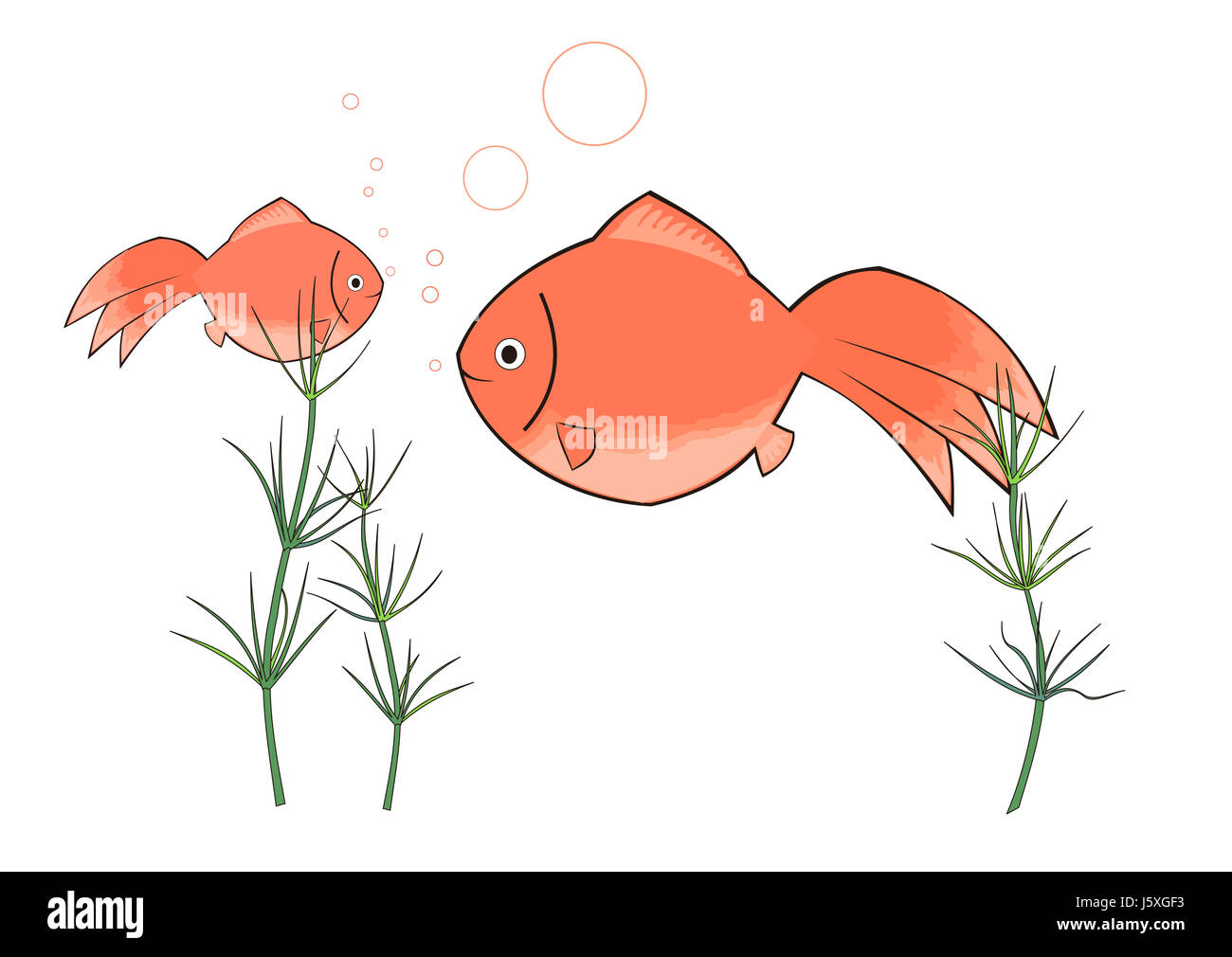 Japanese Goldfish Drawing