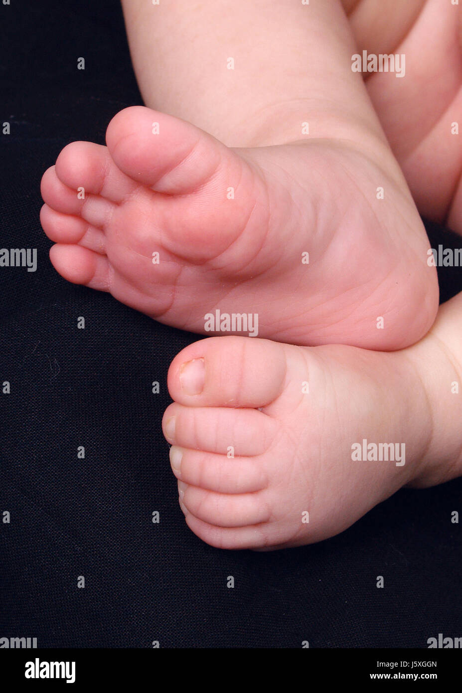 Babyfchen hi-res stock photography and images - Alamy