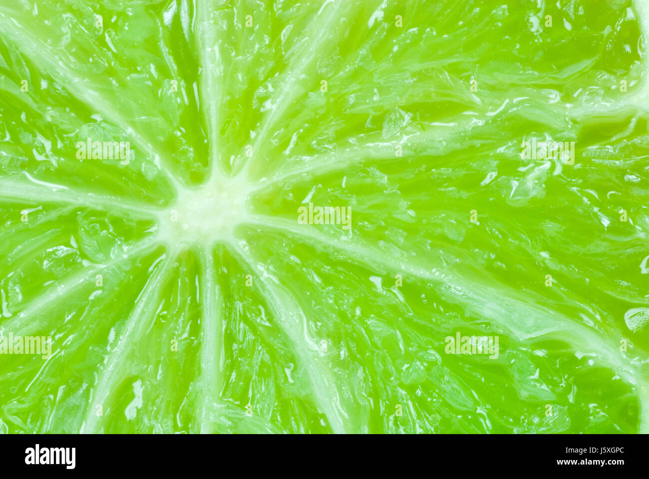 green fruit sour lemon citron backdrop background shine shines bright ...
