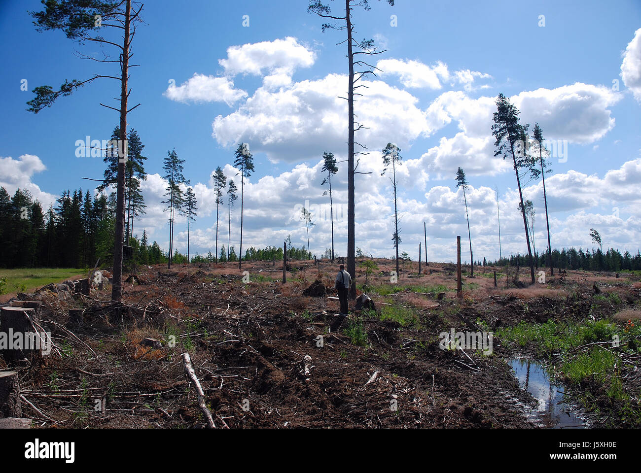 thunder-storm wrecks climate hurricane climate change storm gale ...