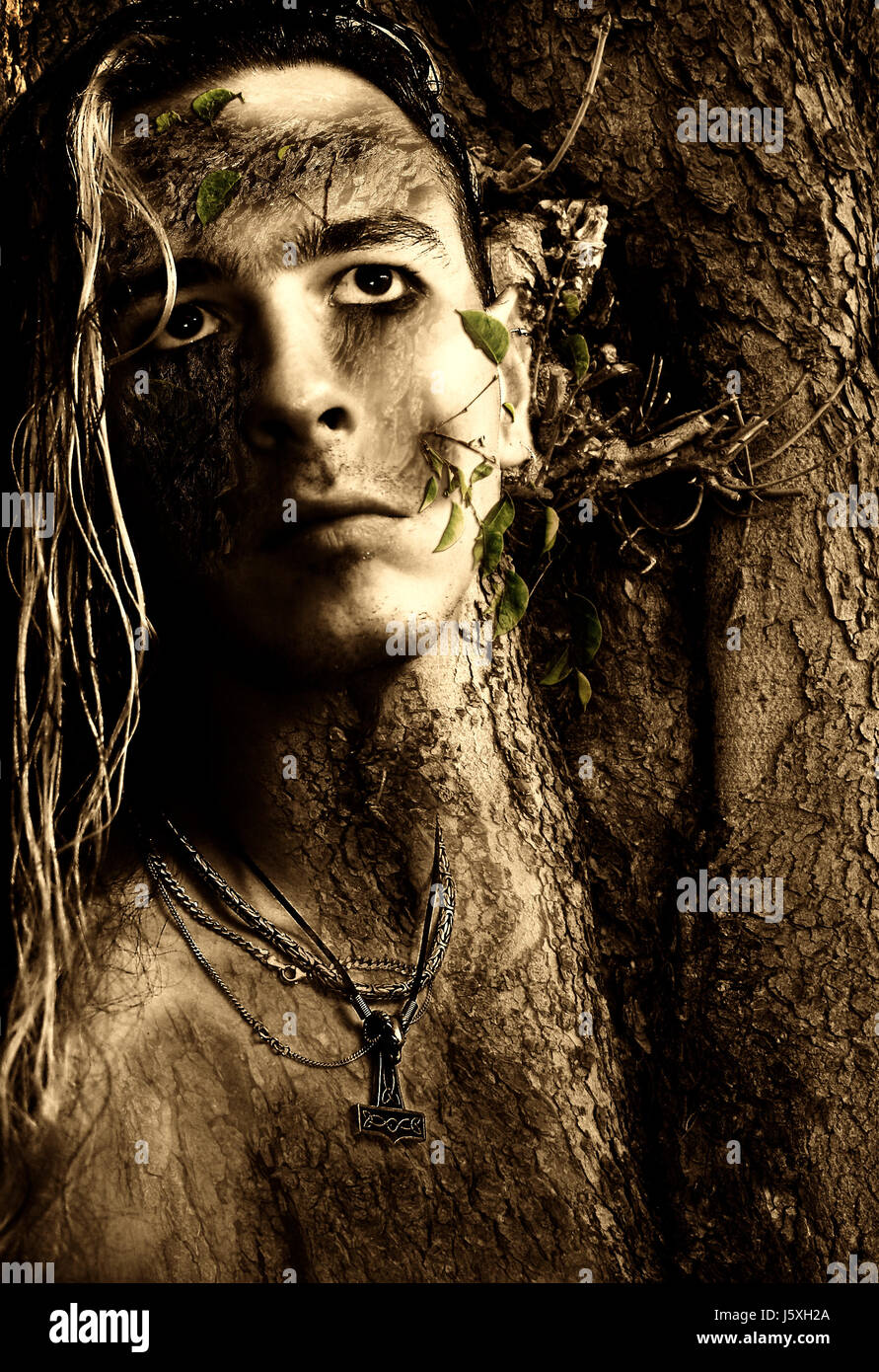 tree face portrait bark leaf tree mouth trunk face leaves portrait ...